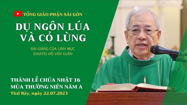 TGP SÀI GÒN::Dụ ngôn lúa và cỏ lùng - Lm Ignatio Hồ Văn Xuân | CN 16 TN ...